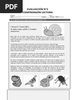 El oso panda texto informativo | PDF