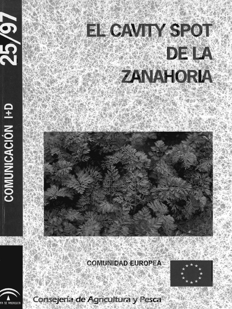 1337168165el Cavit Spot De La Zanahoria Pdf
