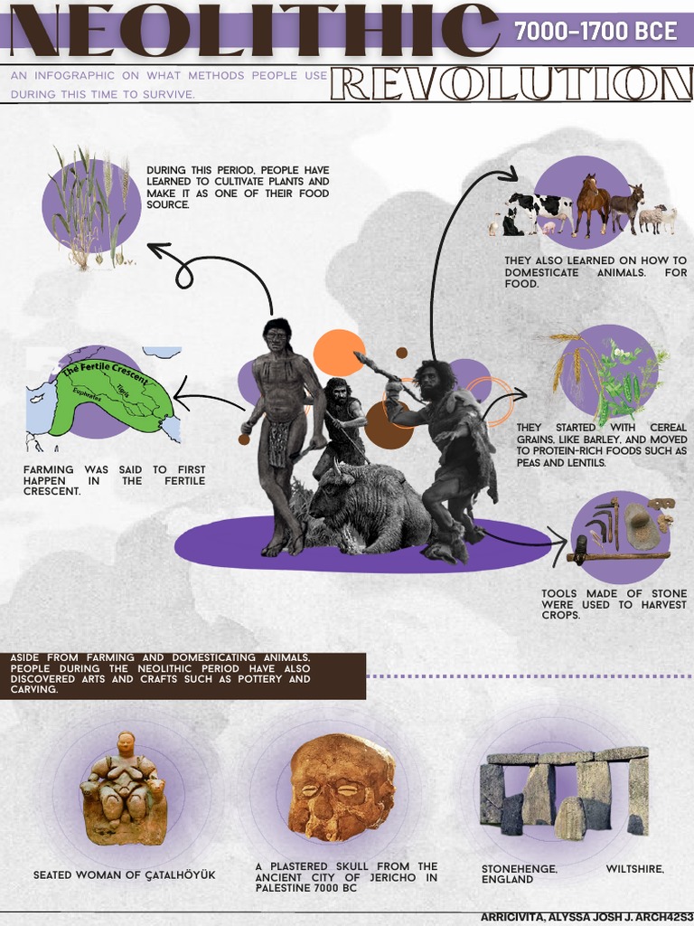 Infographic For Planning 3 | PDF | Neolithic | Agriculture