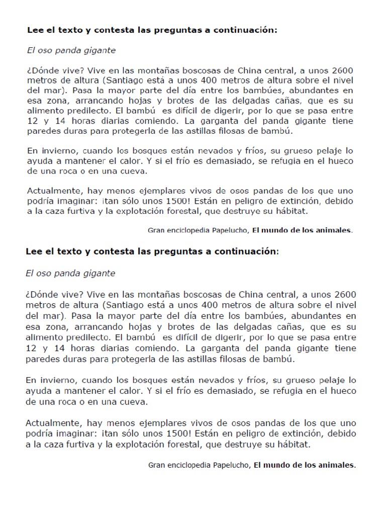 El Oso Panda Texto Informativo | PDF