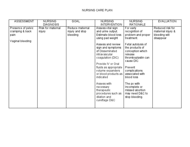 Nursing Care Plan | PDF