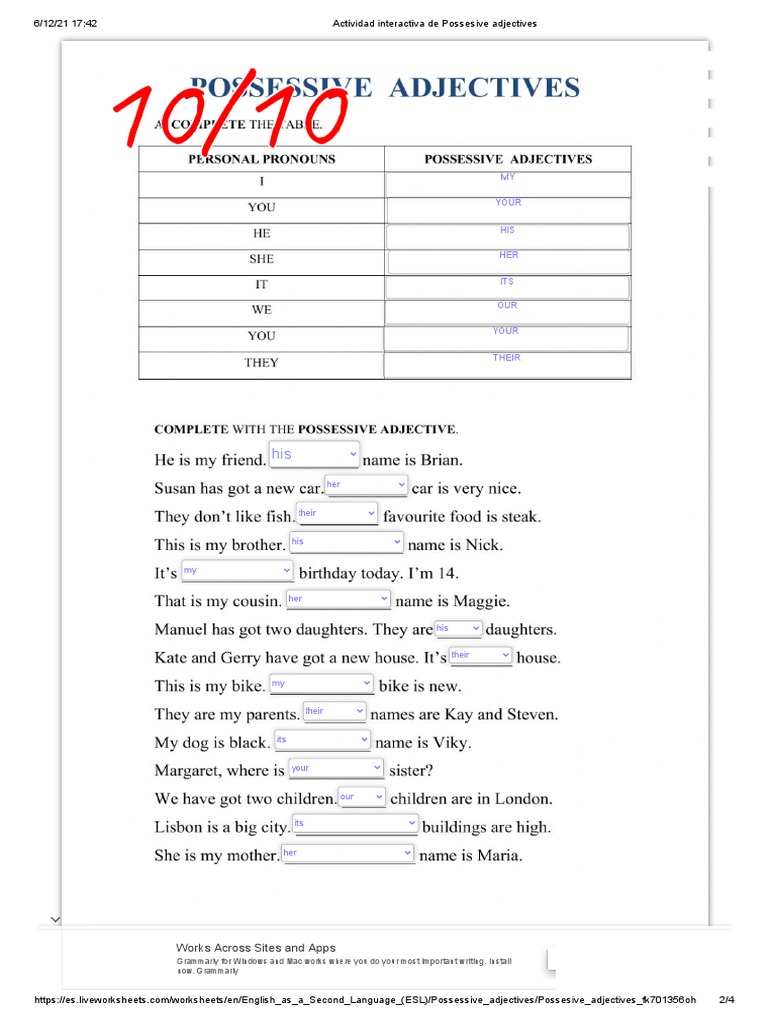 Actividad Interactiva de Possesive Adjectives | PDF | Software | Computer Engineering