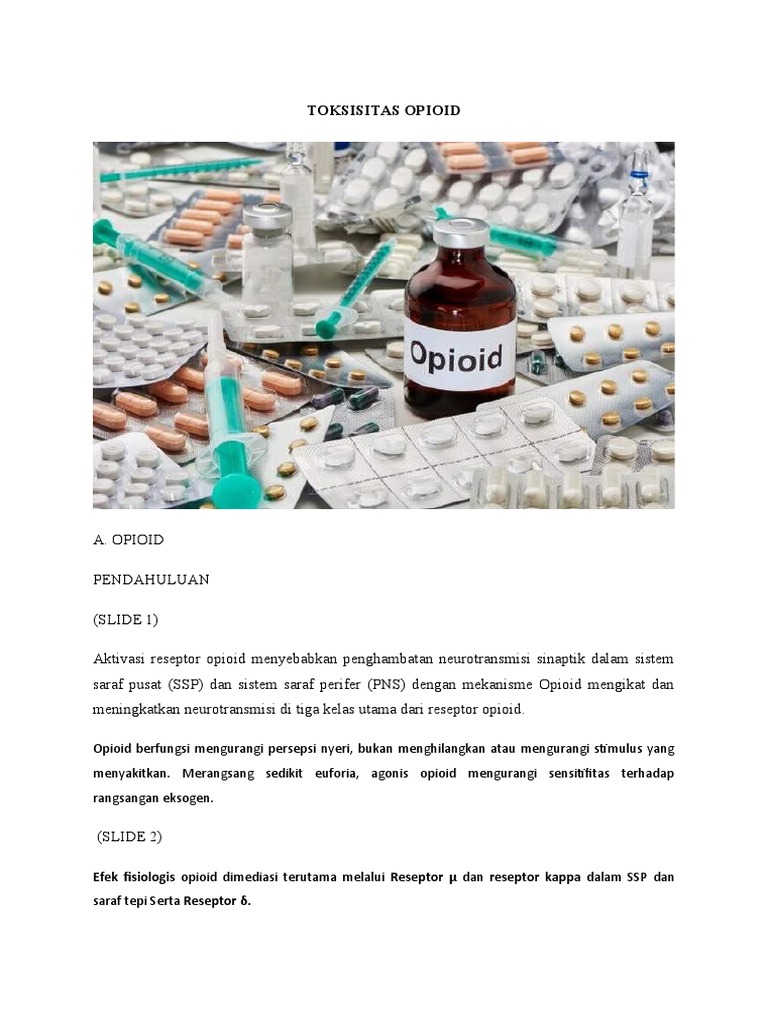 Toksisitas Opioid | PDF