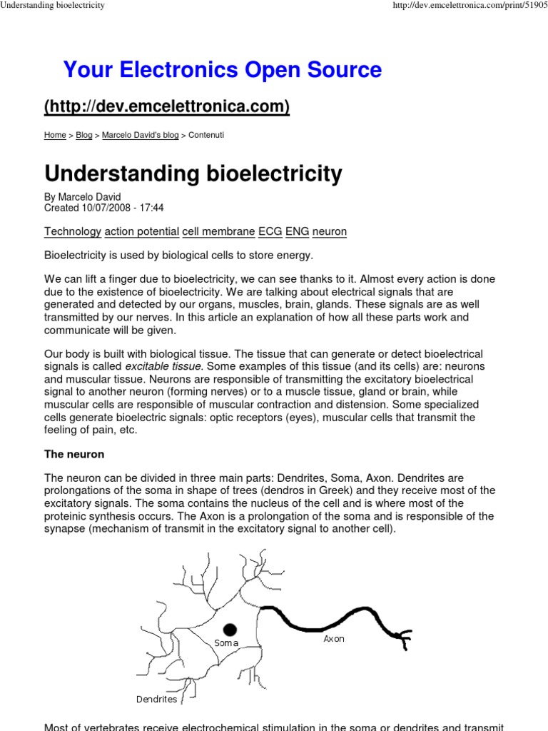Understanding Bio Electricity | PDF | Neuron | Action Potential