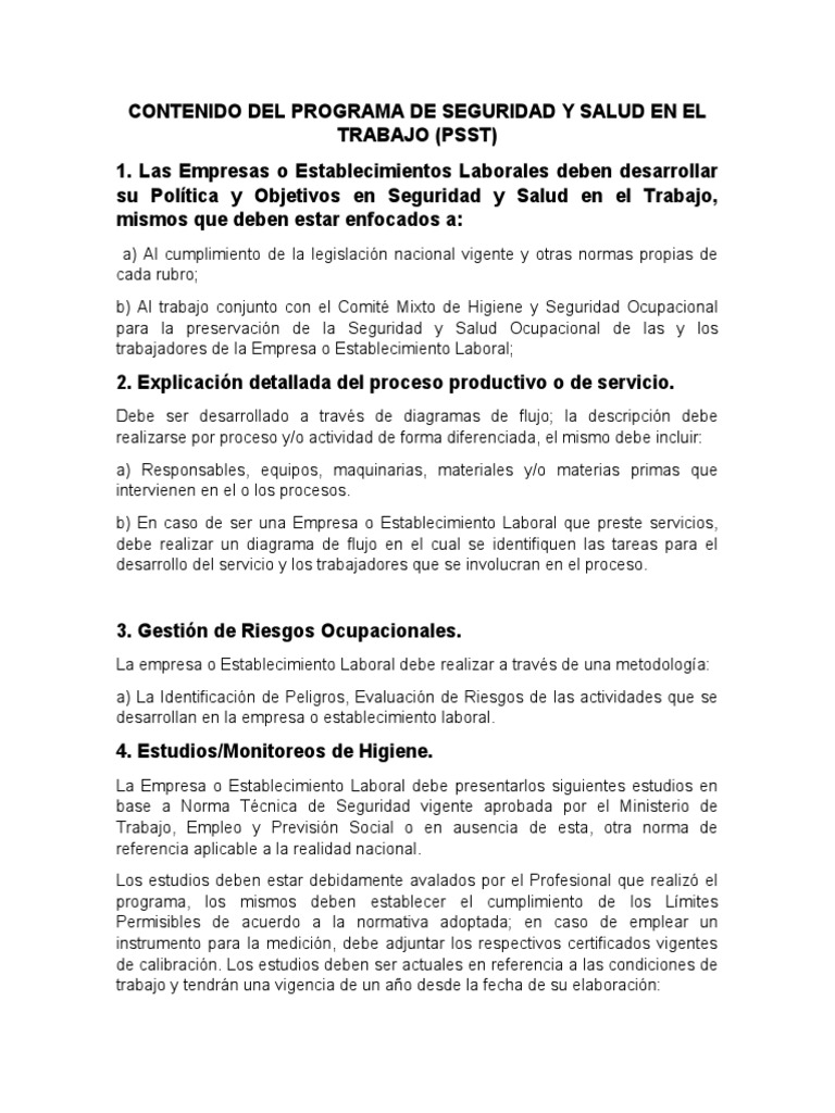 Contenido Del Programa De Seguridad Y Salud En El Trabajo Pdf