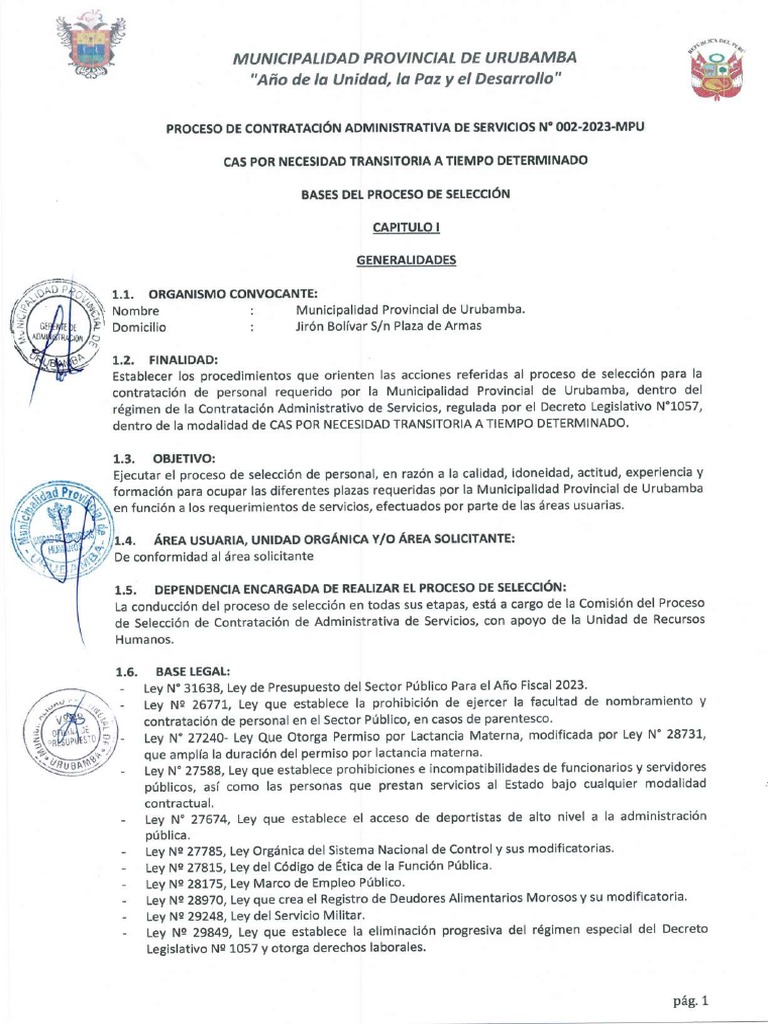 Bases Cas #002-2023-Mpu | PDF