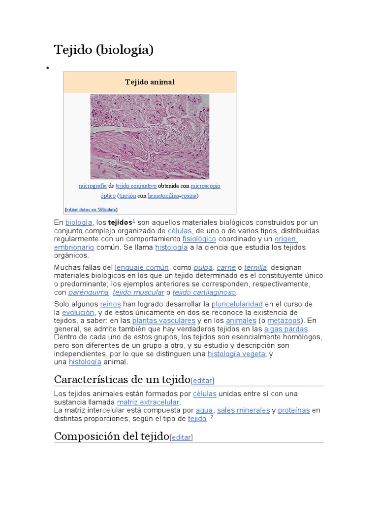 Los Tejidos Pdf Tejido Biología Anatomía