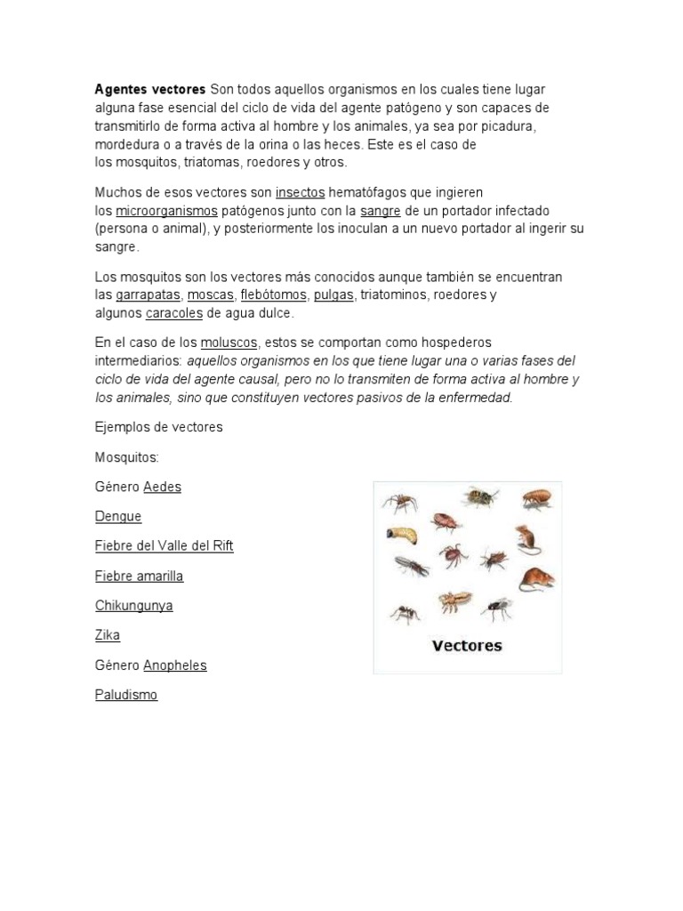 Agentes Vectores | PDF