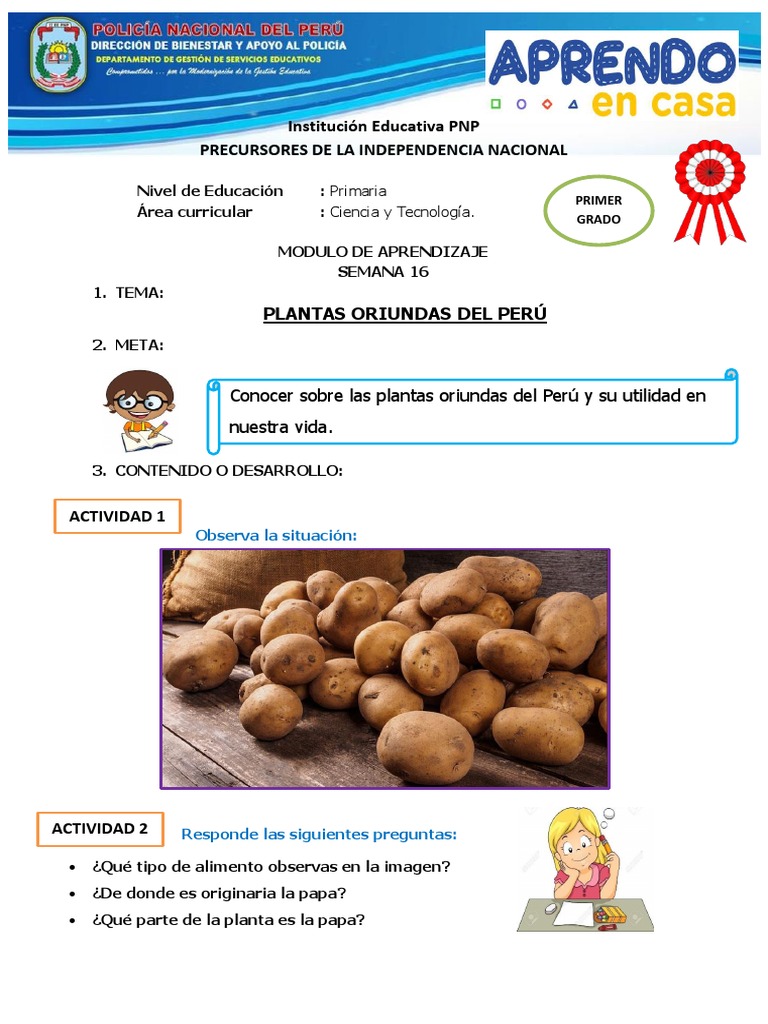 Plantas Nativas del Perú para Niños | PDF | Plantas | Perú