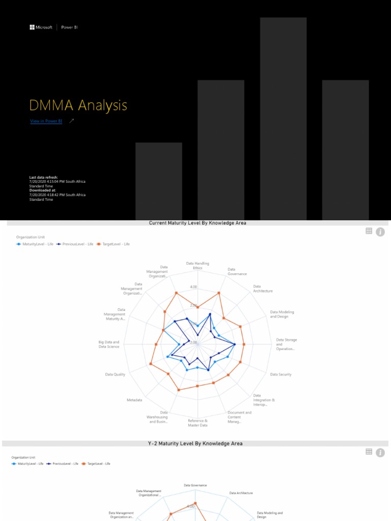 DMMA Analysis | PDF
