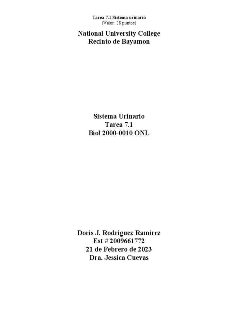 M7 Sistema Urinario Tarea 7-1 | PDF | Riñón | Sistema urinario