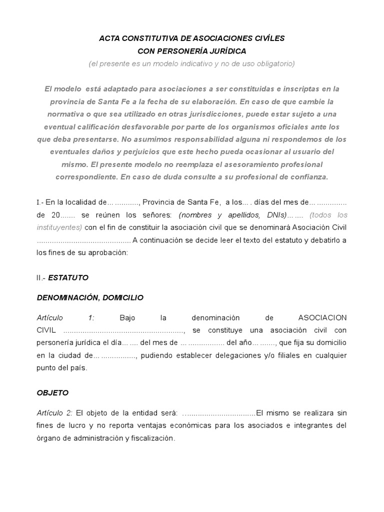 MODELO Acta Constitutiva Con Comisión Revisora de Cuentas | PDF ...