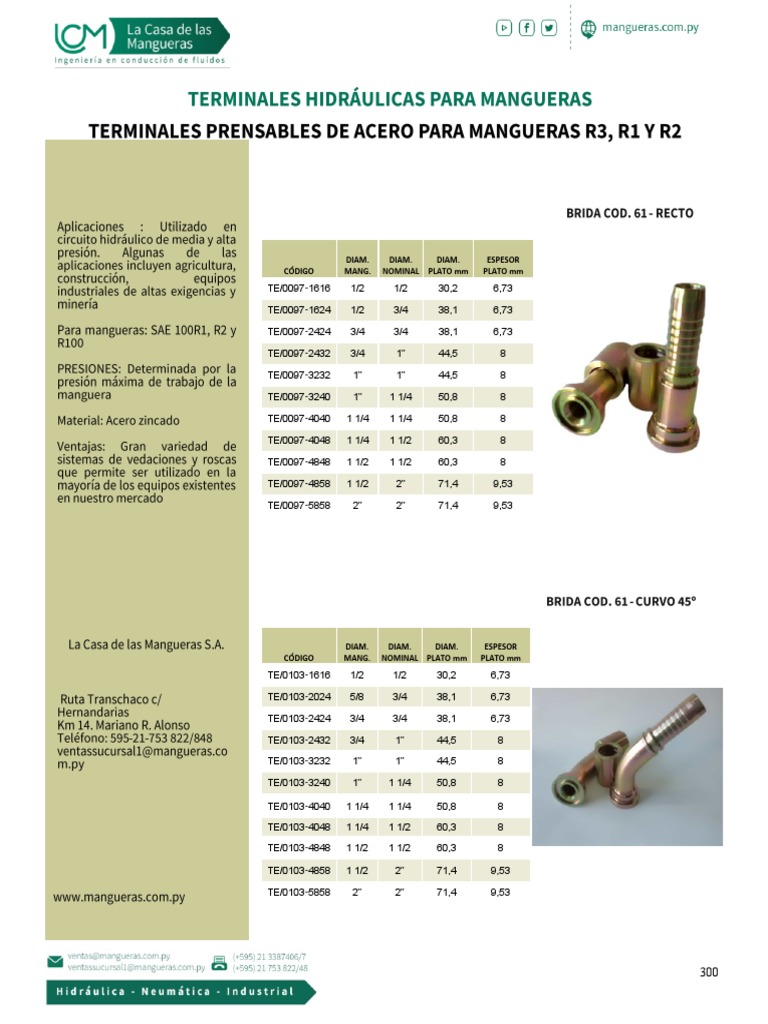 Catalogo Terminales Prensables de Acero para Mangueras R3, R1 y R2 | PDF