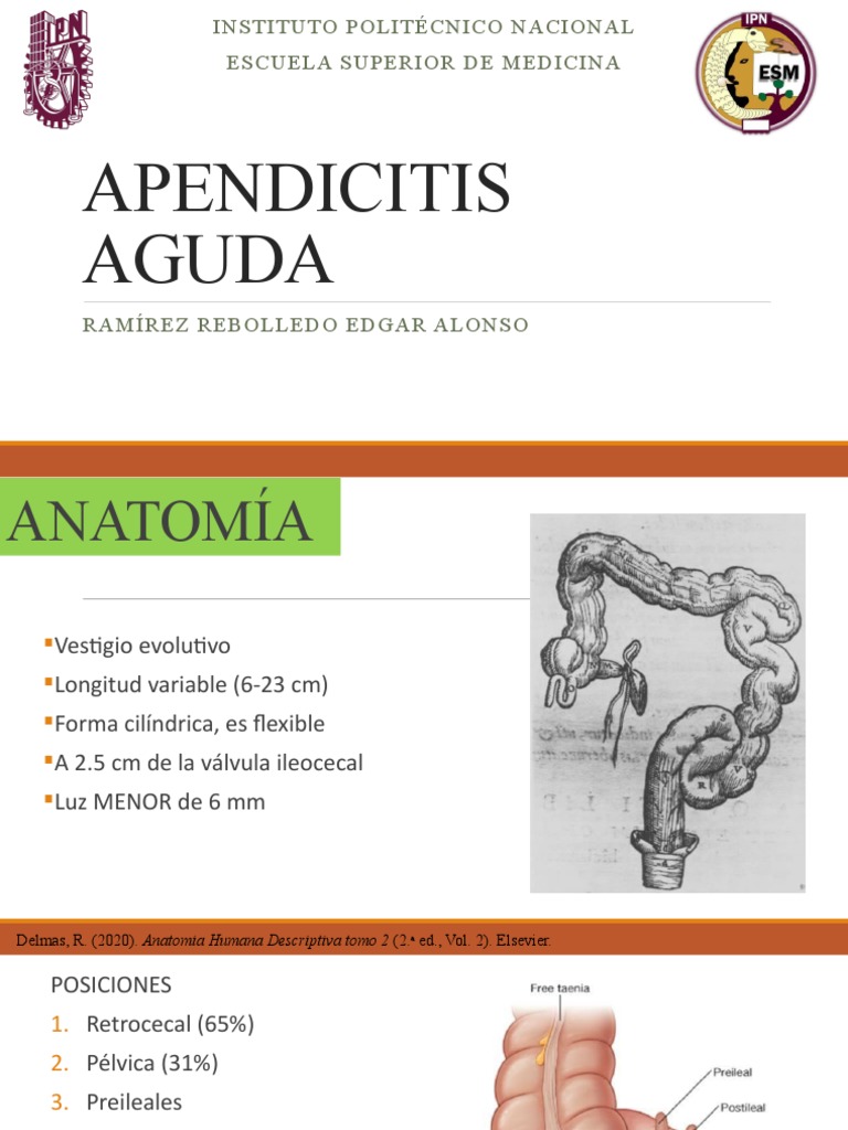 Apendicitis Aguda | PDF | Gastroenterología | Enfermedades y trastornos