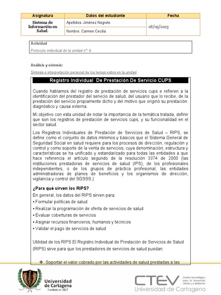 Plantilla Protocolo Individual - Unidad 4 | PDF