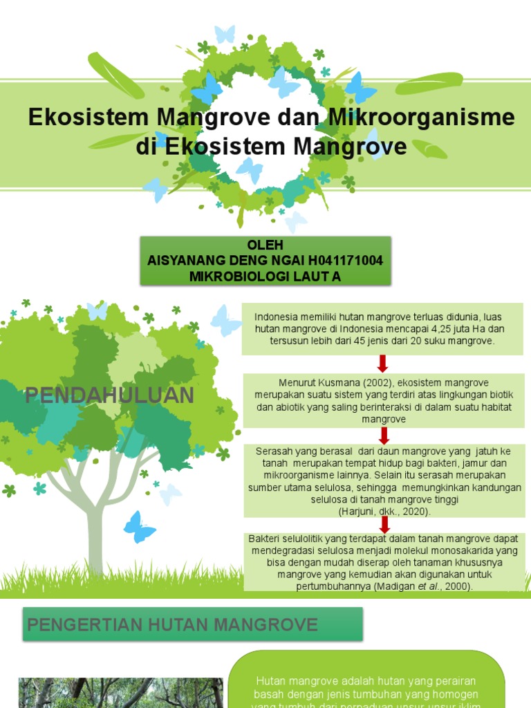 Mikroorganisme dan Peranannya dalam Dekomposisi Serasah Mangrove | PDF