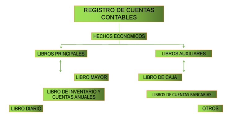 Registro de Cuentas Contables | PDF
