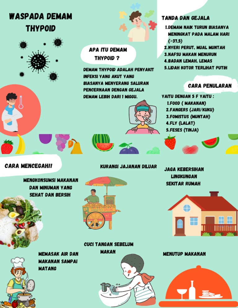 Leaflet Thypoid | PDF