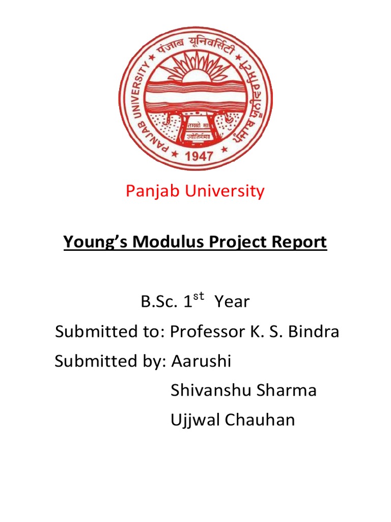 Young's Modulus of Elasticity | PDF | Young's Modulus | Bending