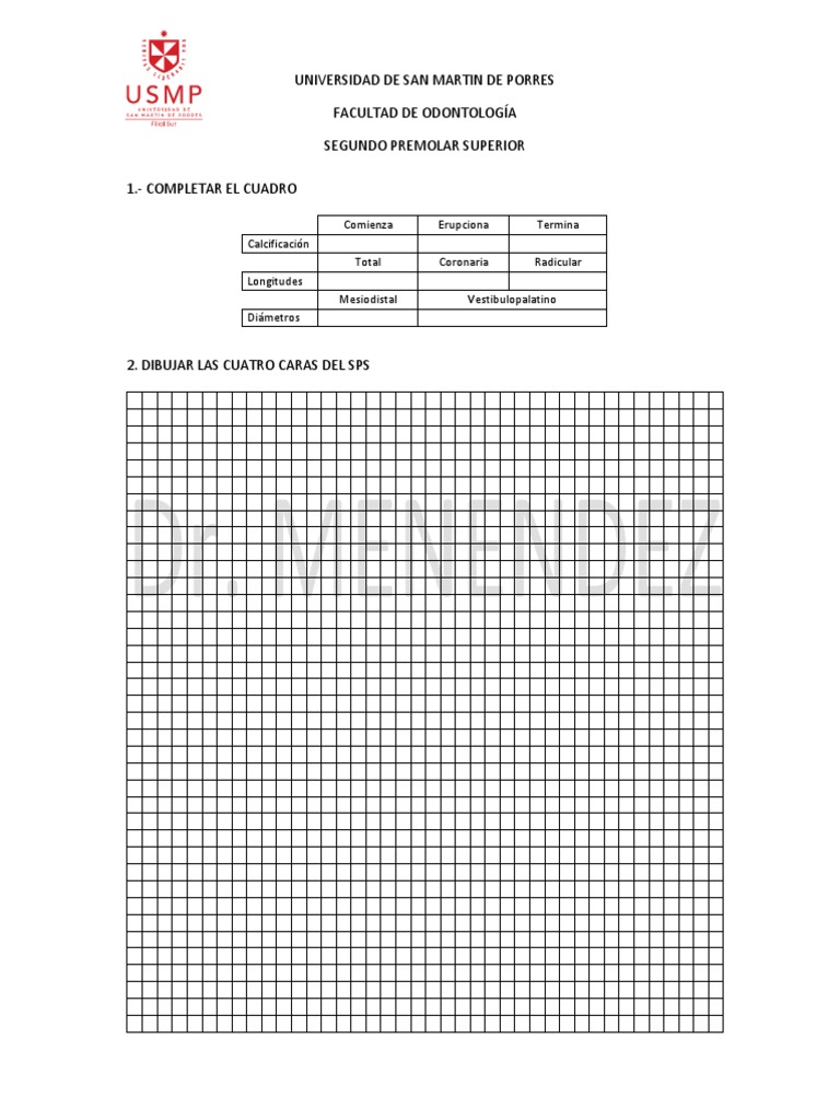DIBUJO SPS (1) | PDF