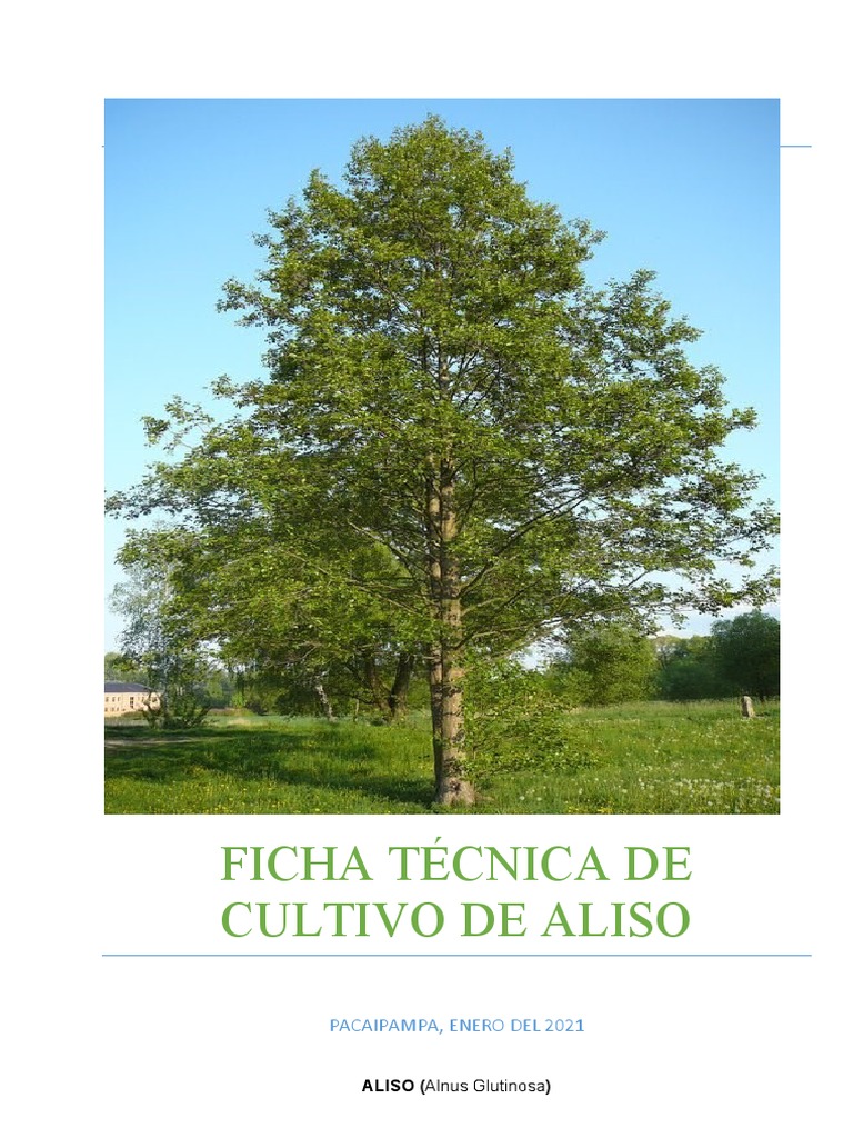 ALISOS | PDF | Arboles | Tallo de la planta