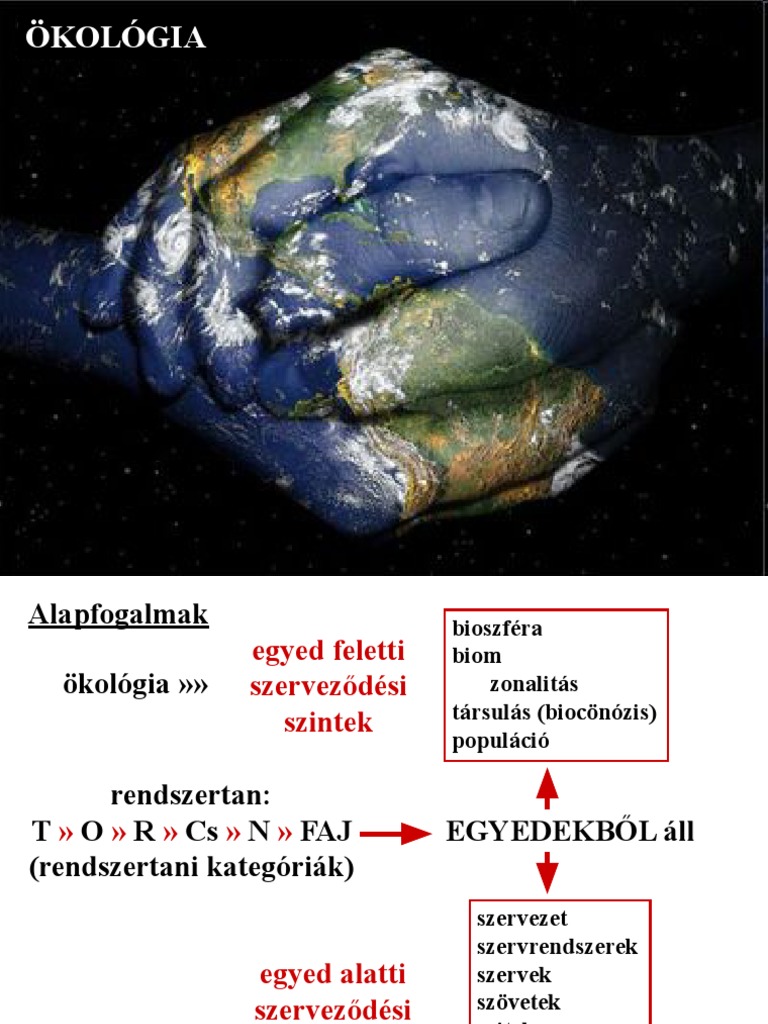 Okologia Bevezeto | PDF