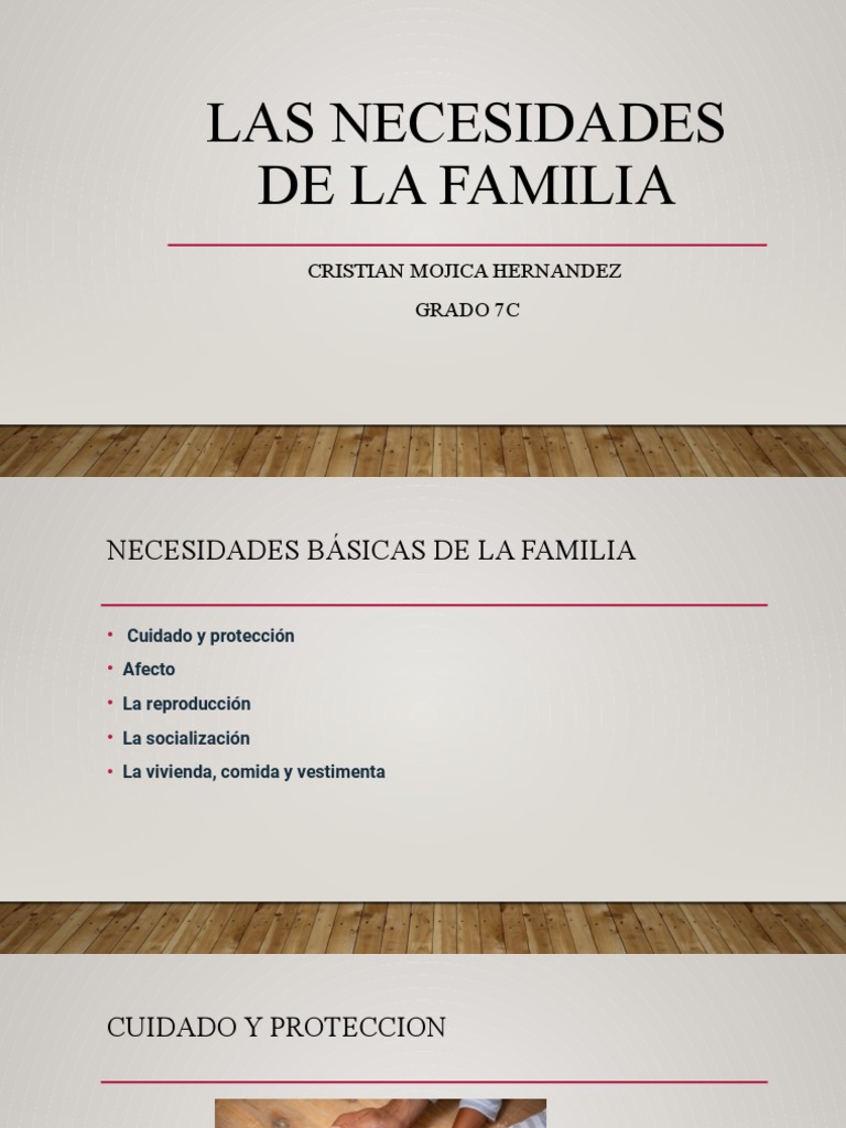 Las Necesidades de La Familia | PDF