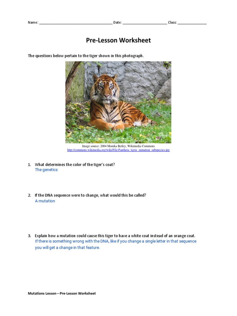 Mutations in Tiger Coat Color Worksheet | PDF