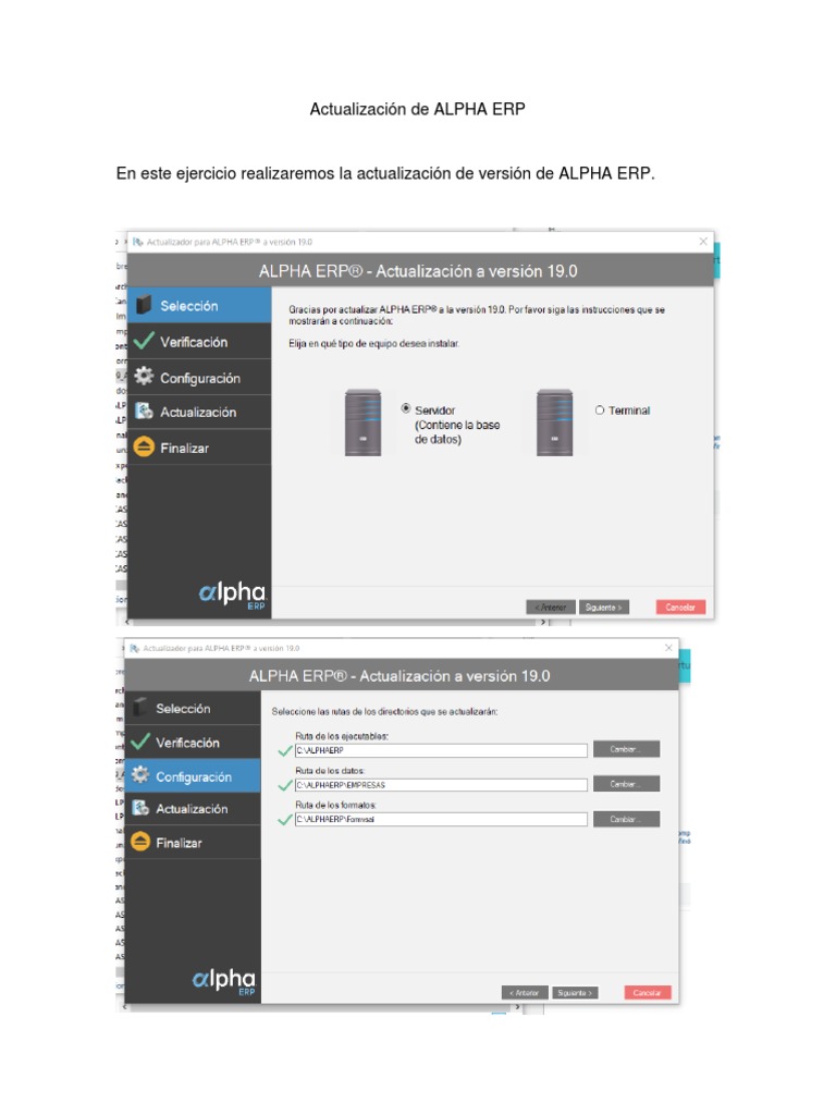 Actualización De Alpha Erp Pdf