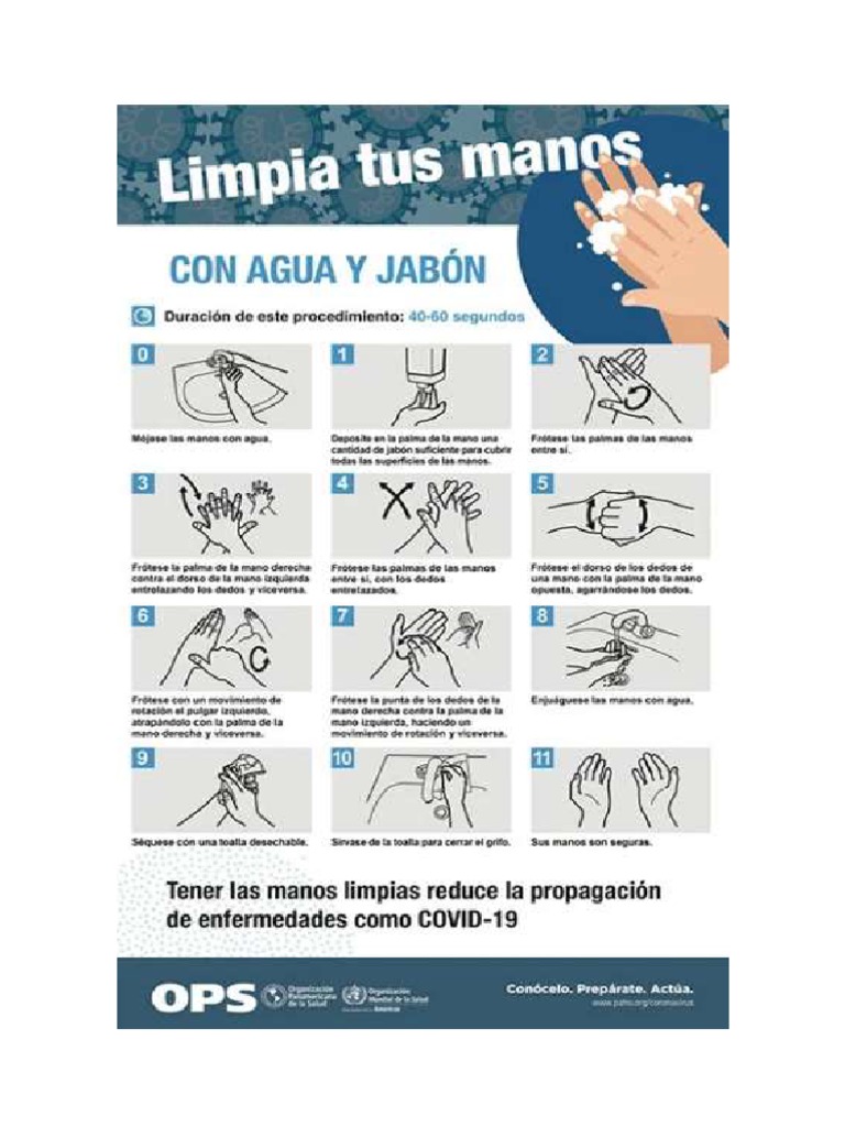 Higiene de Manos - Oms | PDF