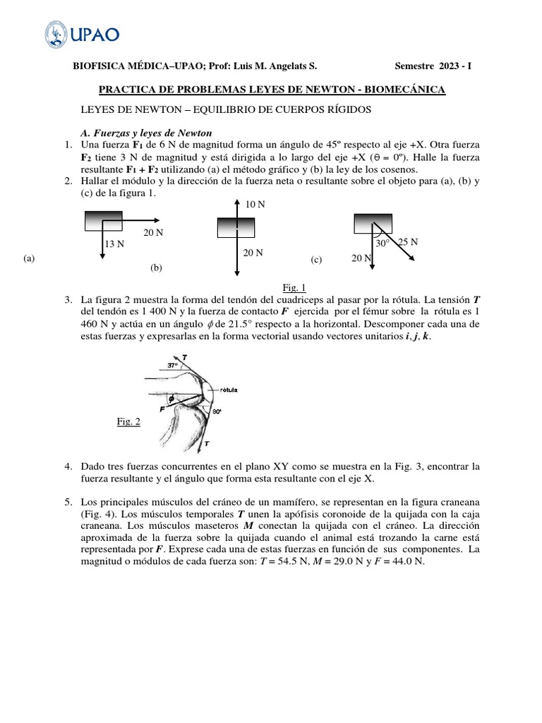 Prac Prob Medici Human Biomecánica Leyes De Newton Equilibrio De Cuerpos Rígidos