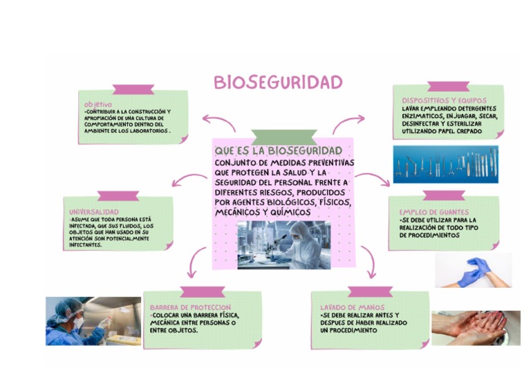 Bioseguridad en El Laboratorio Ii | PDF
