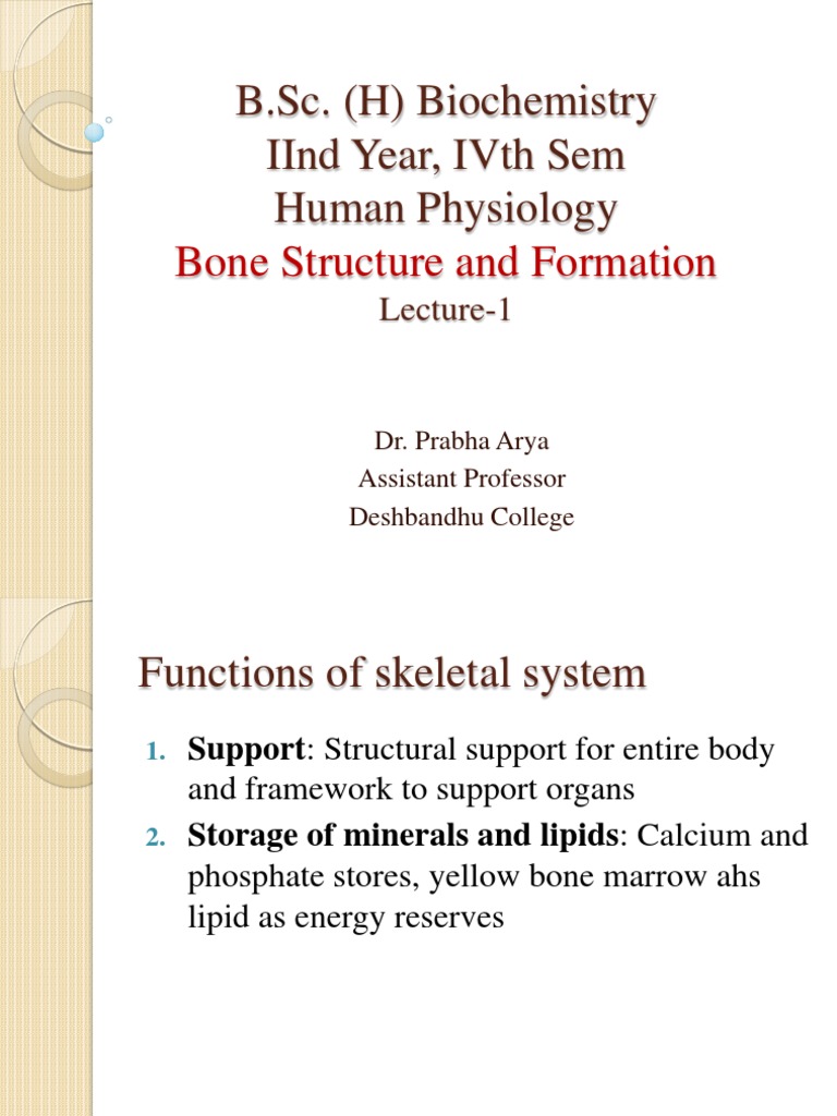 BC (H) - IV-Human Physiology Bone Structure and Formation-1 | PDF ...