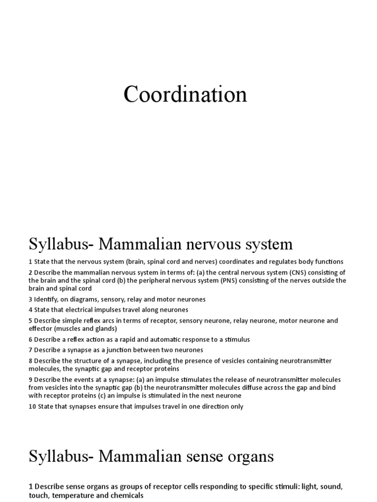 Coordination and Control (IGCSE and O Level Biology 2023-2025) | PDF ...