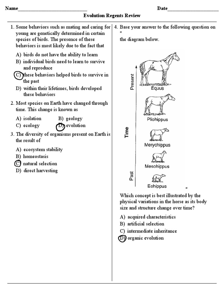 Evolution Regents Review | Download Free PDF | Evolution | Species