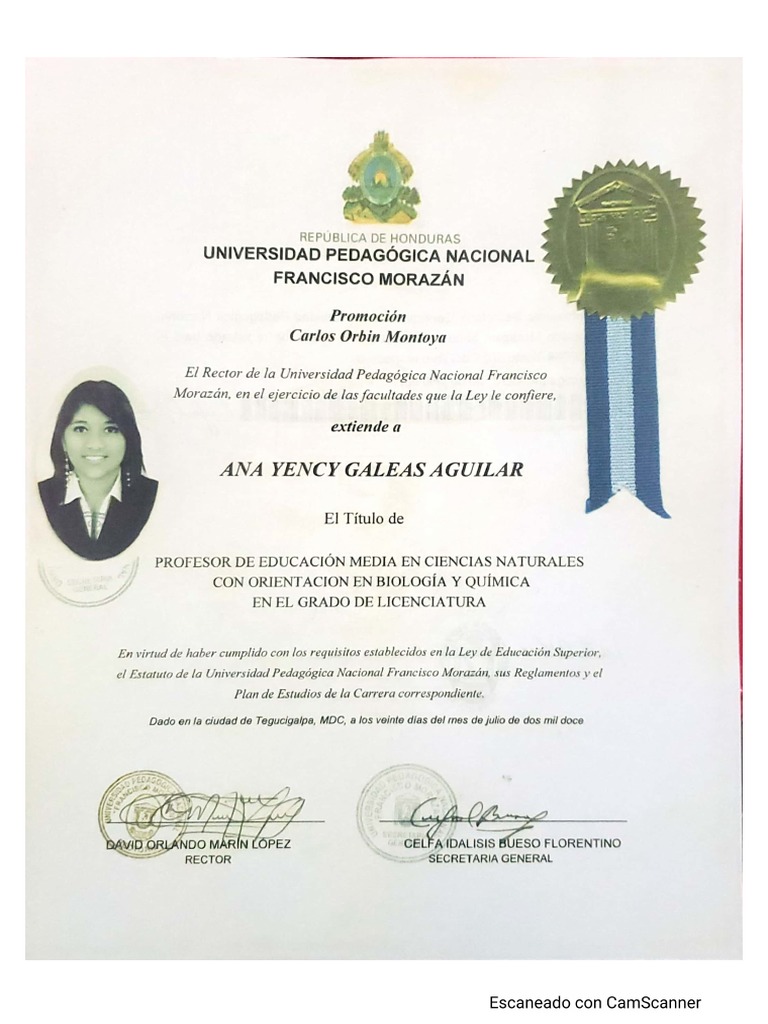 Ana Documentos | PDF