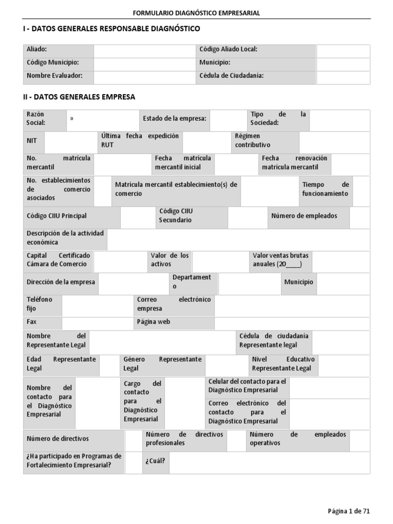 I - Datos Generales Responsable Diagnóstico | PDF | Responsabilidad social corporativa