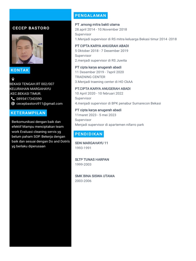 Contoh CV yang baik | PDF