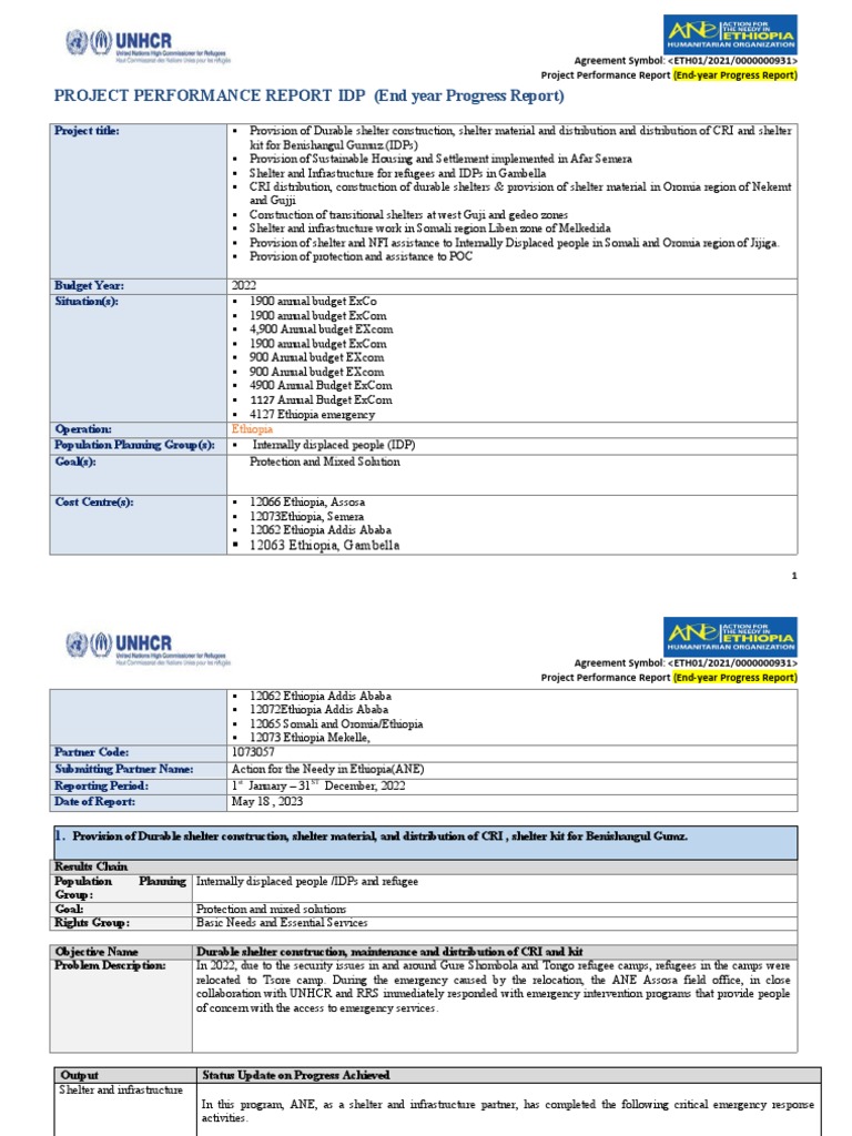 2022 IDP Project Report | PDF | Internally Displaced Person | Refugee