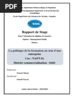 Rapport de Formation Pédagogique | PDF