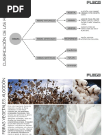 Clasificación General de Las Fibras | PDF | Fibra sintética | Lana