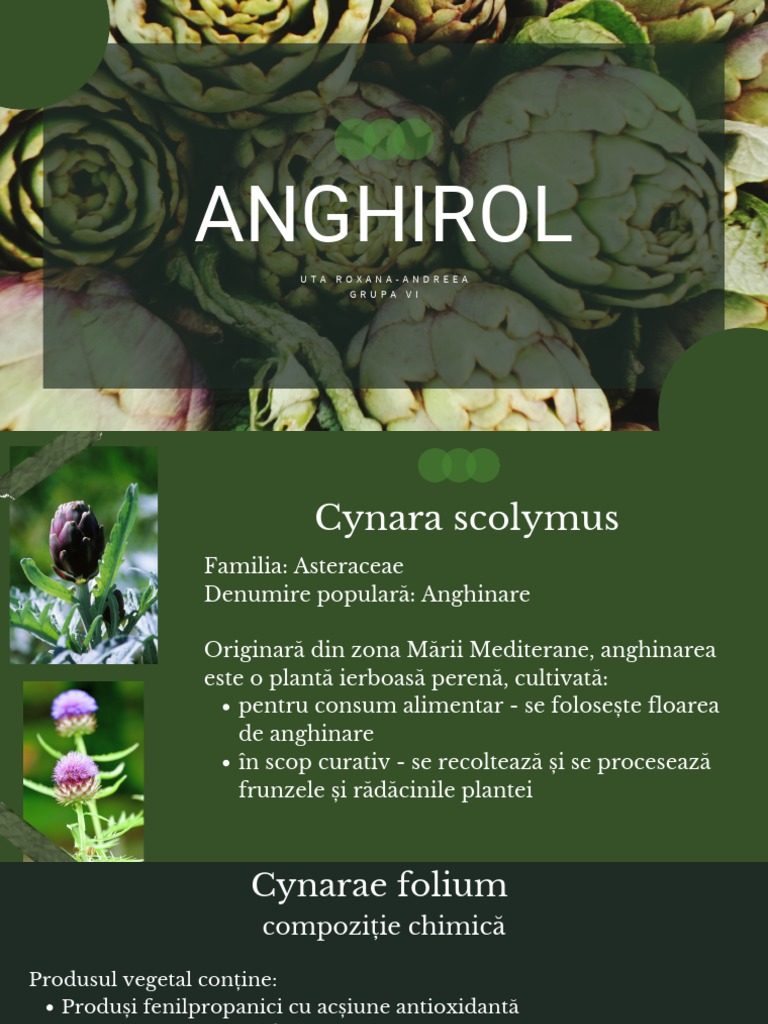 Anghirol Uta Roxana | PDF