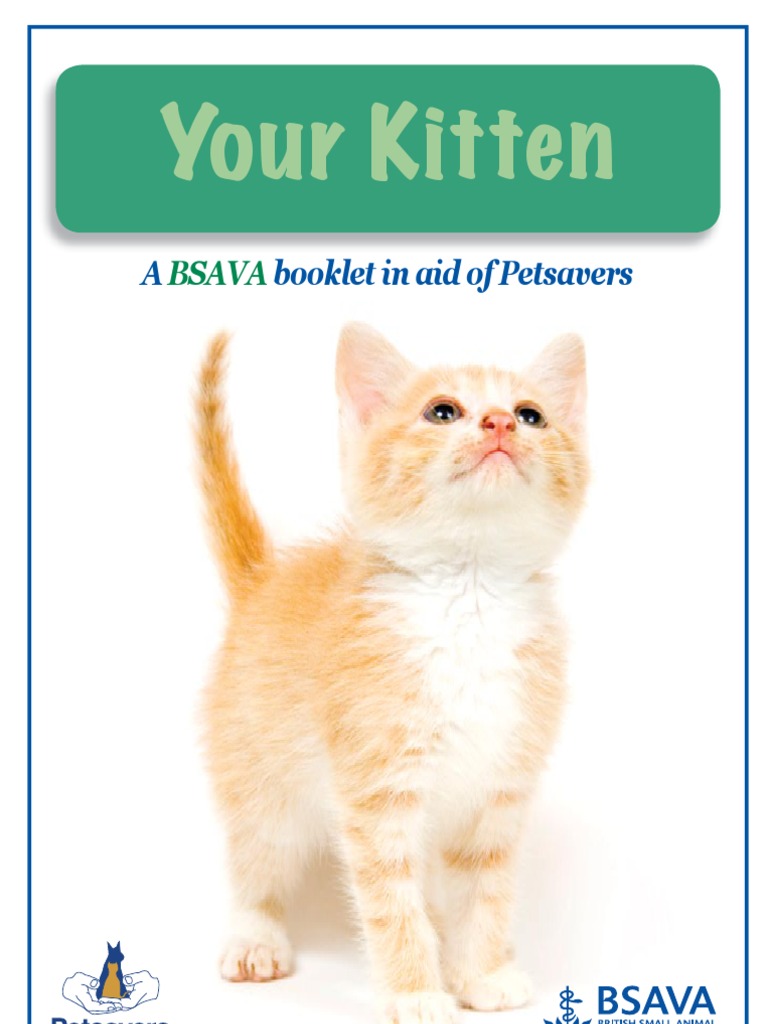 Your Kitten: A Booklet in Aid of Petsavers | PDF | Neutering | Cats