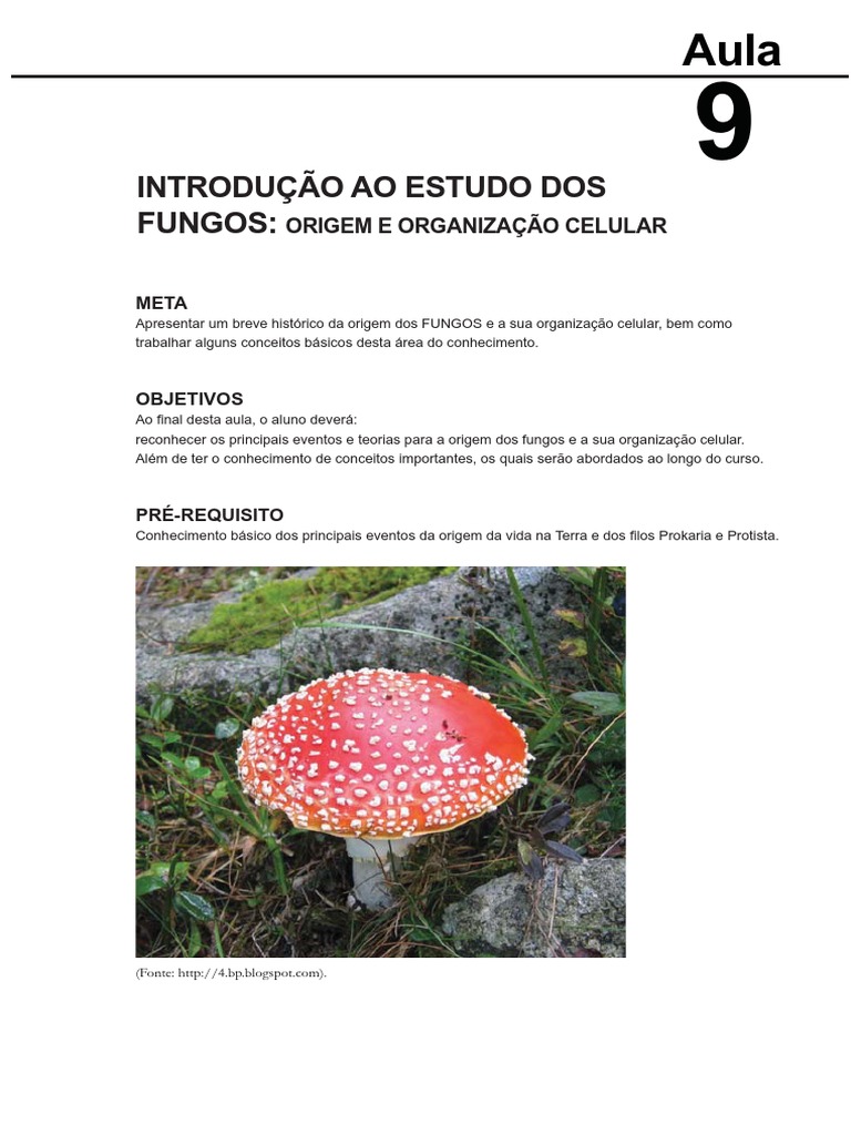09291427022012protistas, Fungos e Vegetais Inferiores Aula 9 | PDF | Fungo | Célula (Biologia)