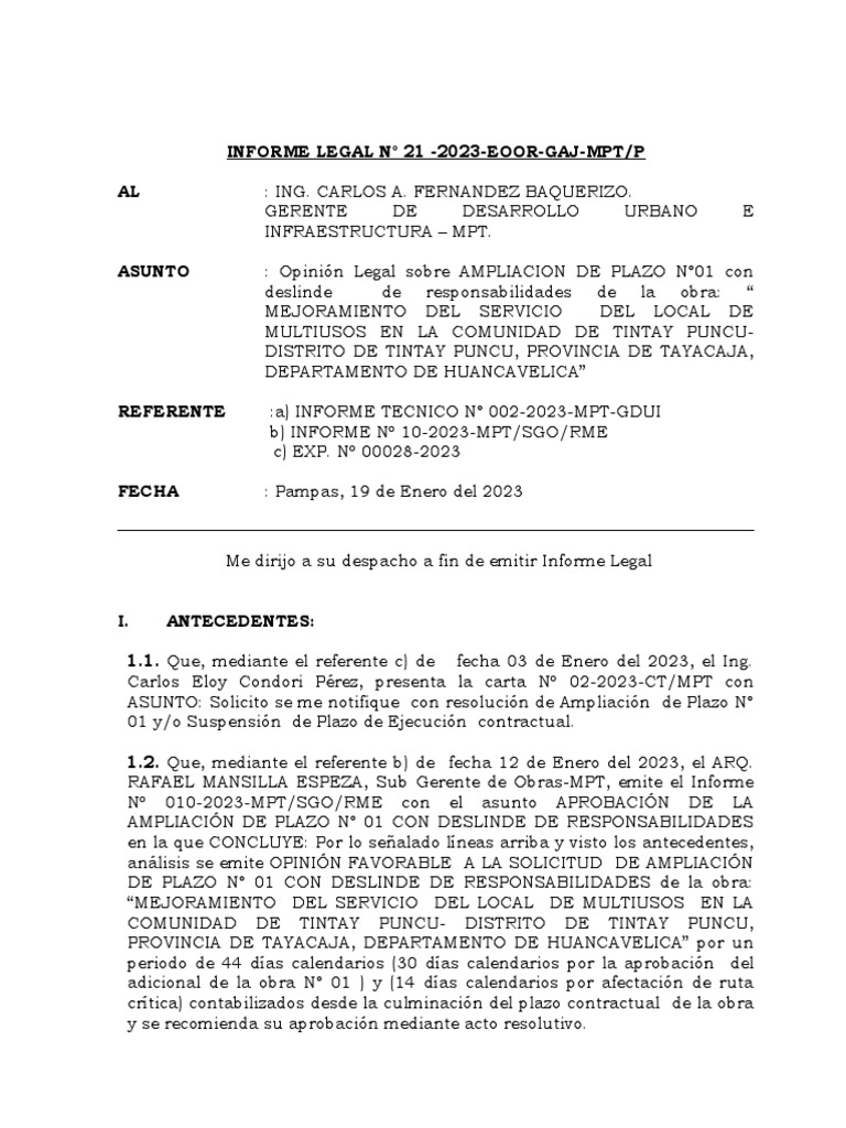 Informe Legal | Descargar gratis PDF | Estatuto | Gobierno