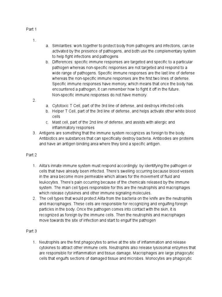 Immune System Assignment | PDF | Immune System | Phagocyte