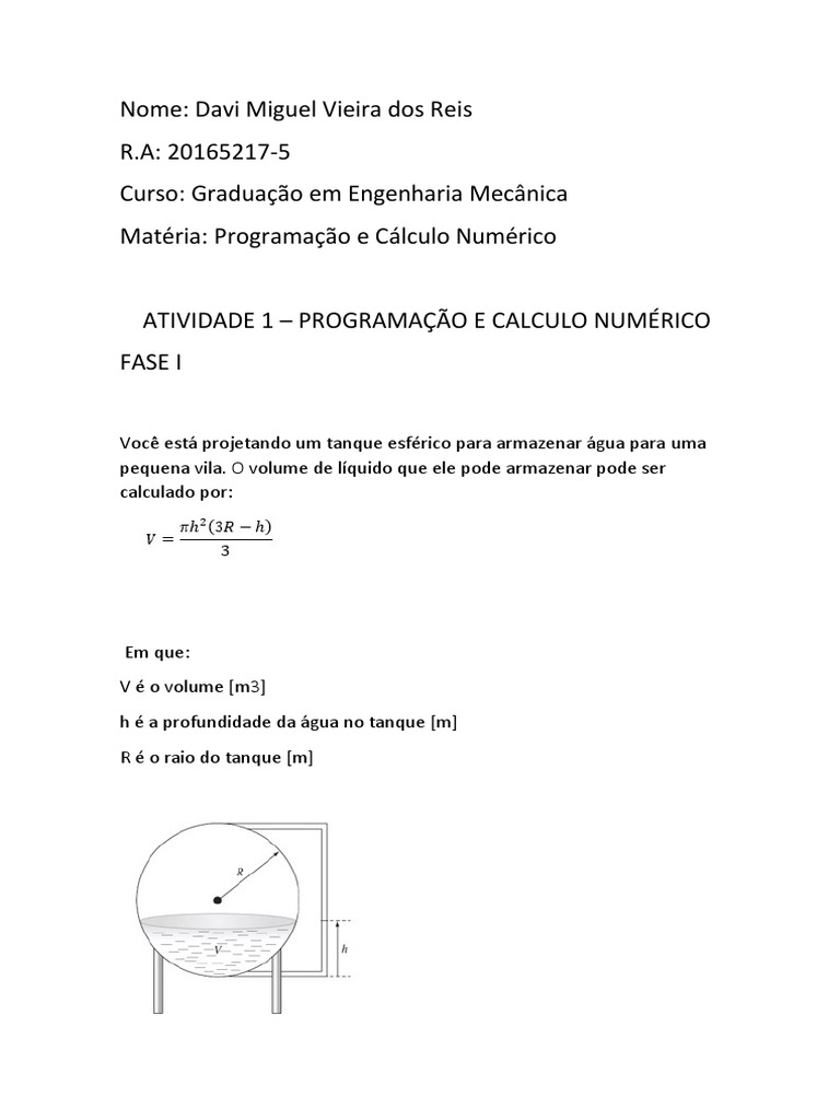 Atividade 1 - Programação e Calculo Numerico | PDF | Análise numérica ...