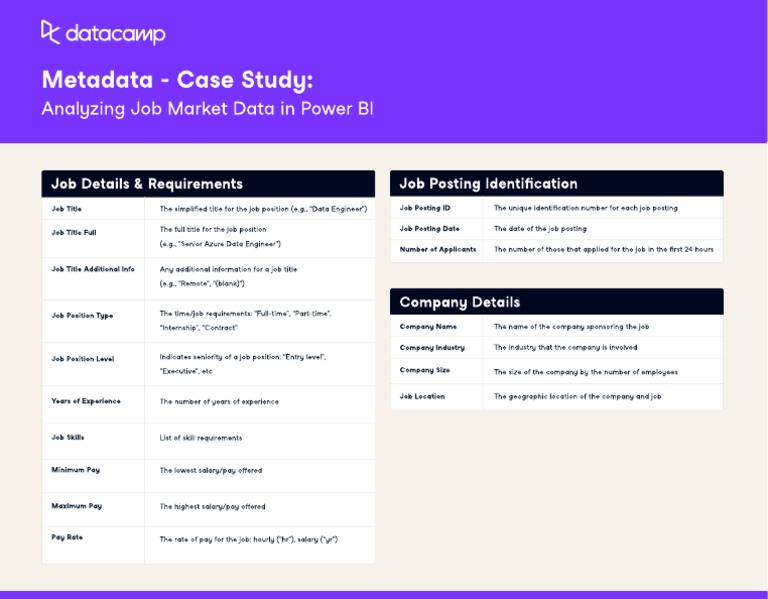 Power BI Case Study Meta Data Sheet-2 | PDF