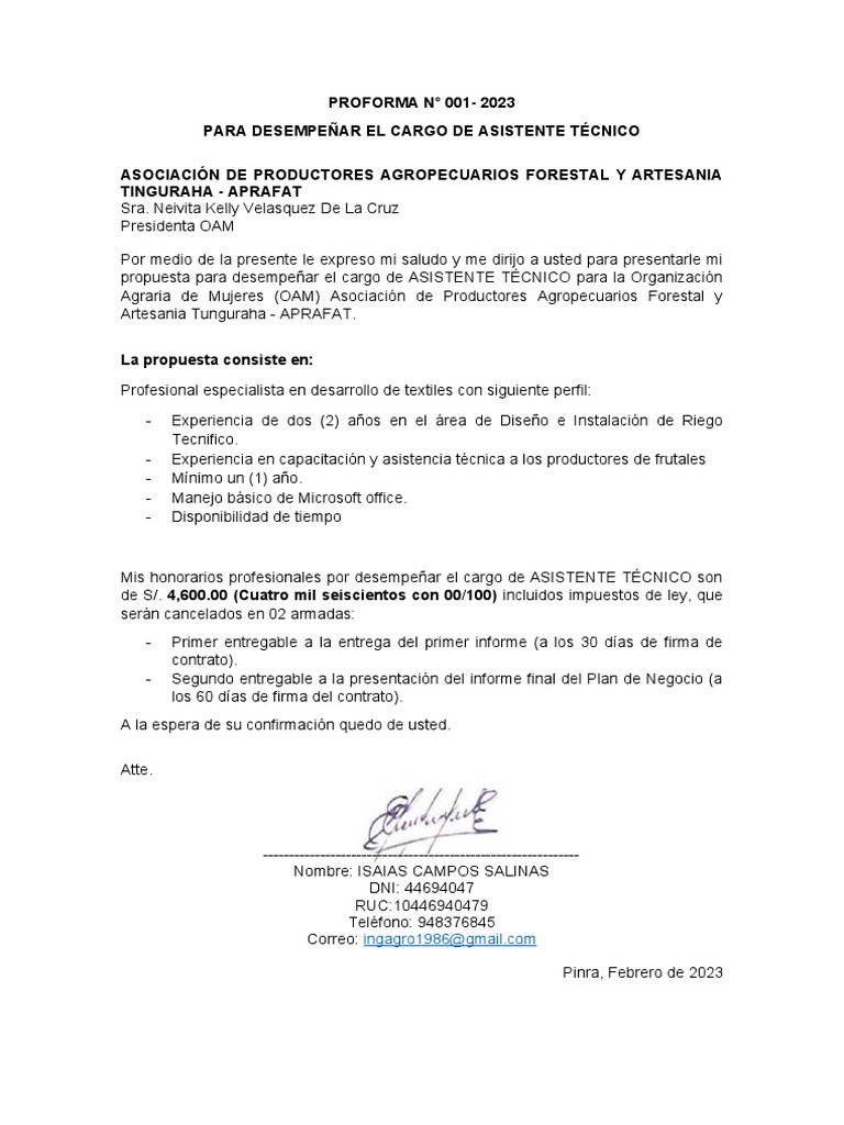 Modelo de Proforma Asist Técnico | PDF