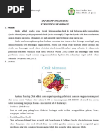 LP SNH (Stroke Non Hemoragik) | PDF